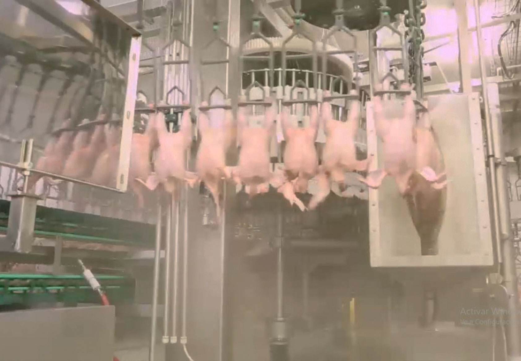 Nosotros - Pollo Fiesta SA